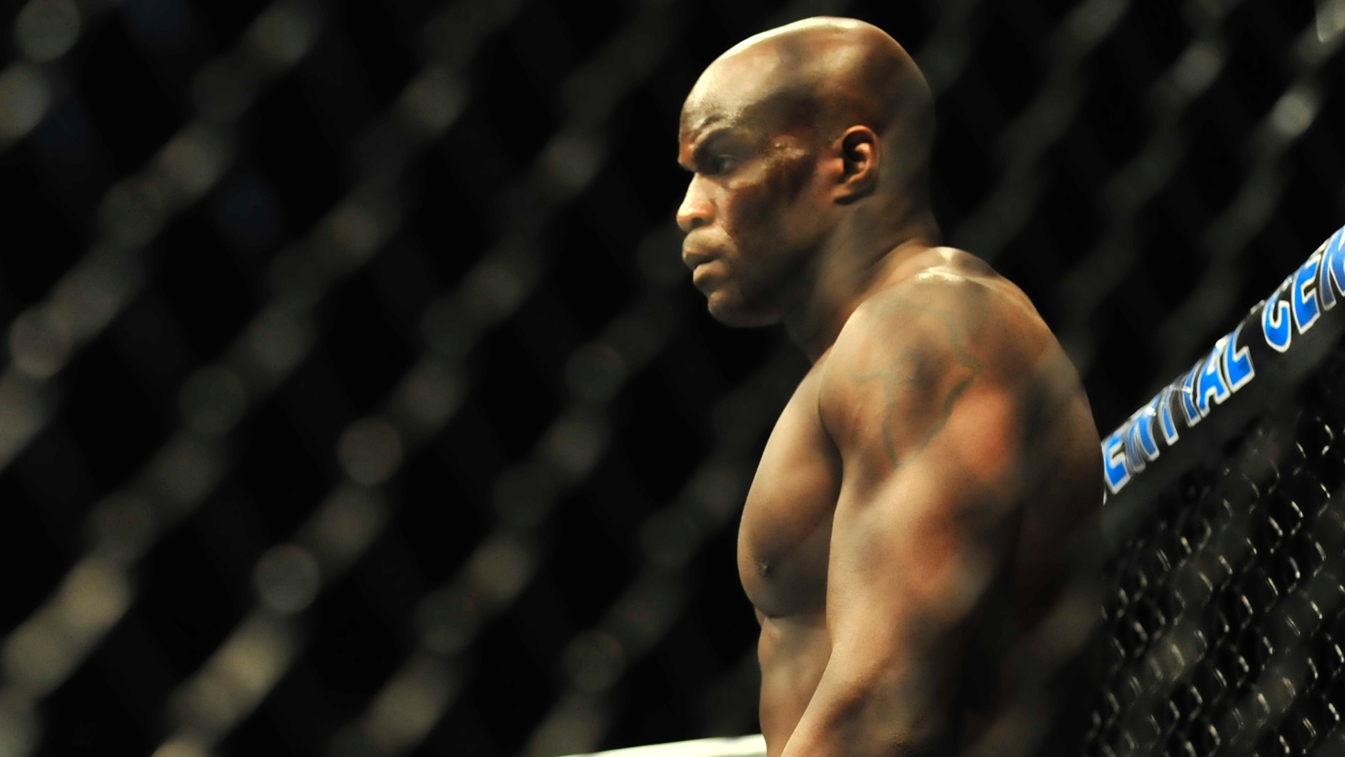 cheick kongo comeback