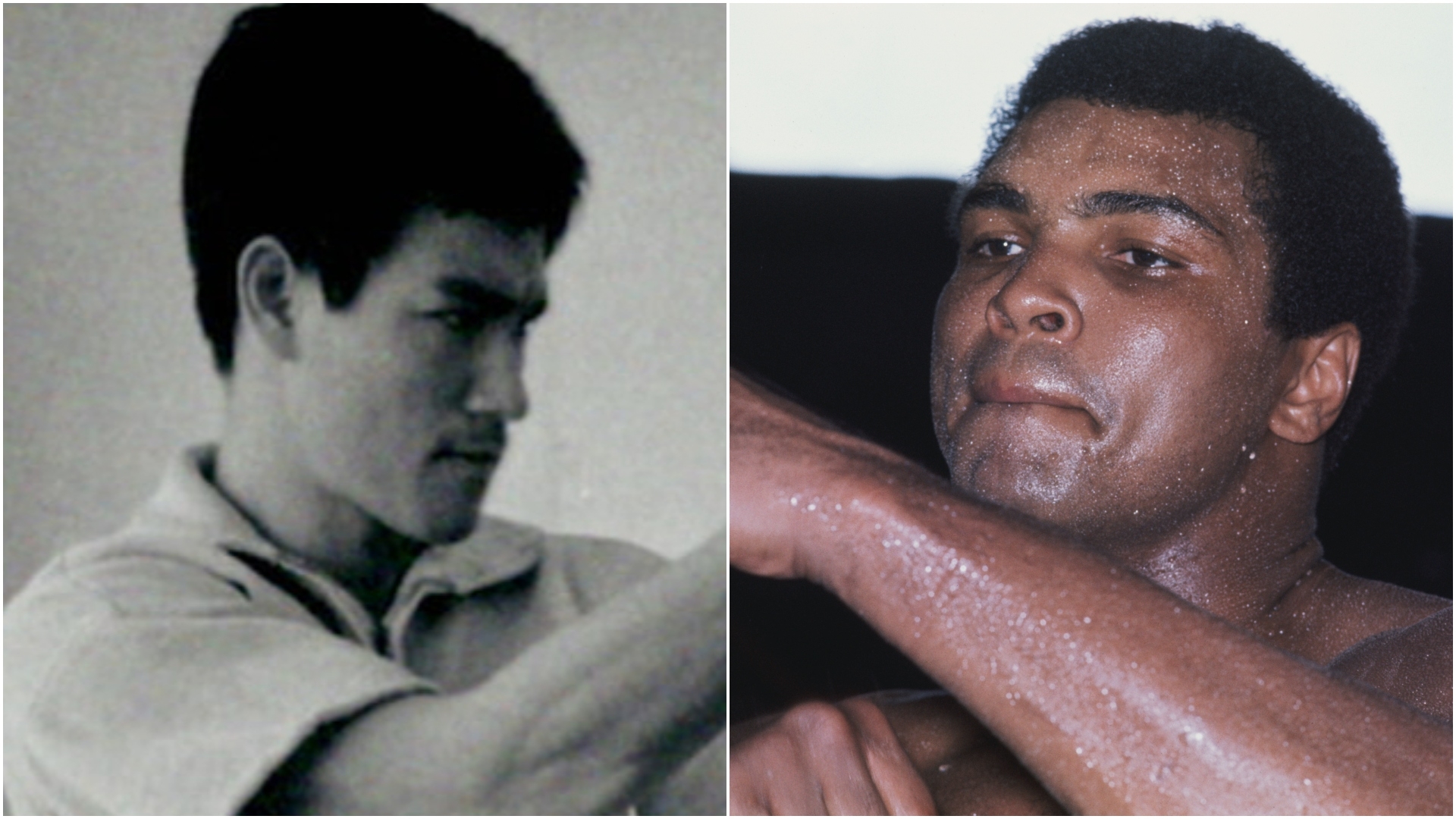 Bruce Lee was influenced by Ali, Sugar Ray Robinson - Stream the Video ...