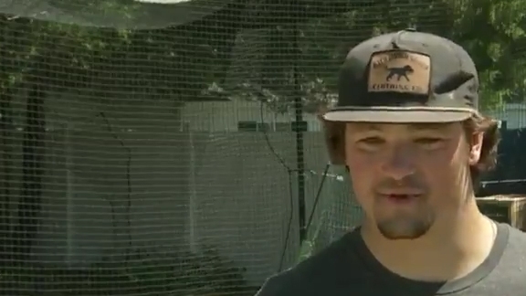 Hackenberg attempting comeback in baseball - Stream the Video - Watch ESPN