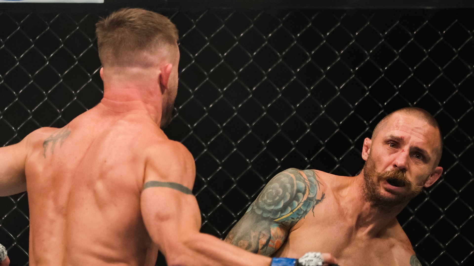 Cody Stamann finishes off Eddie Wineland in under a minute - Stream the ...