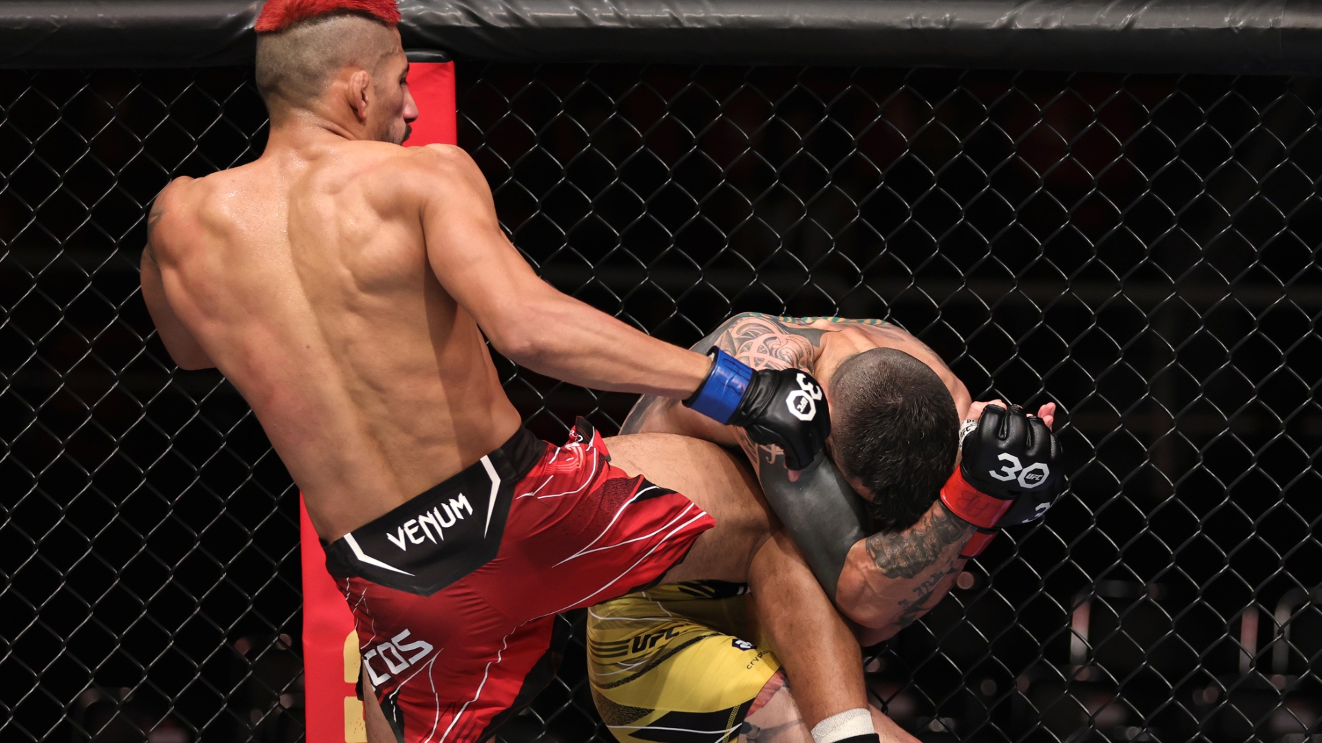 Daniel Marcos finishes Saimon Oliveira with huge knee - Stream the ...