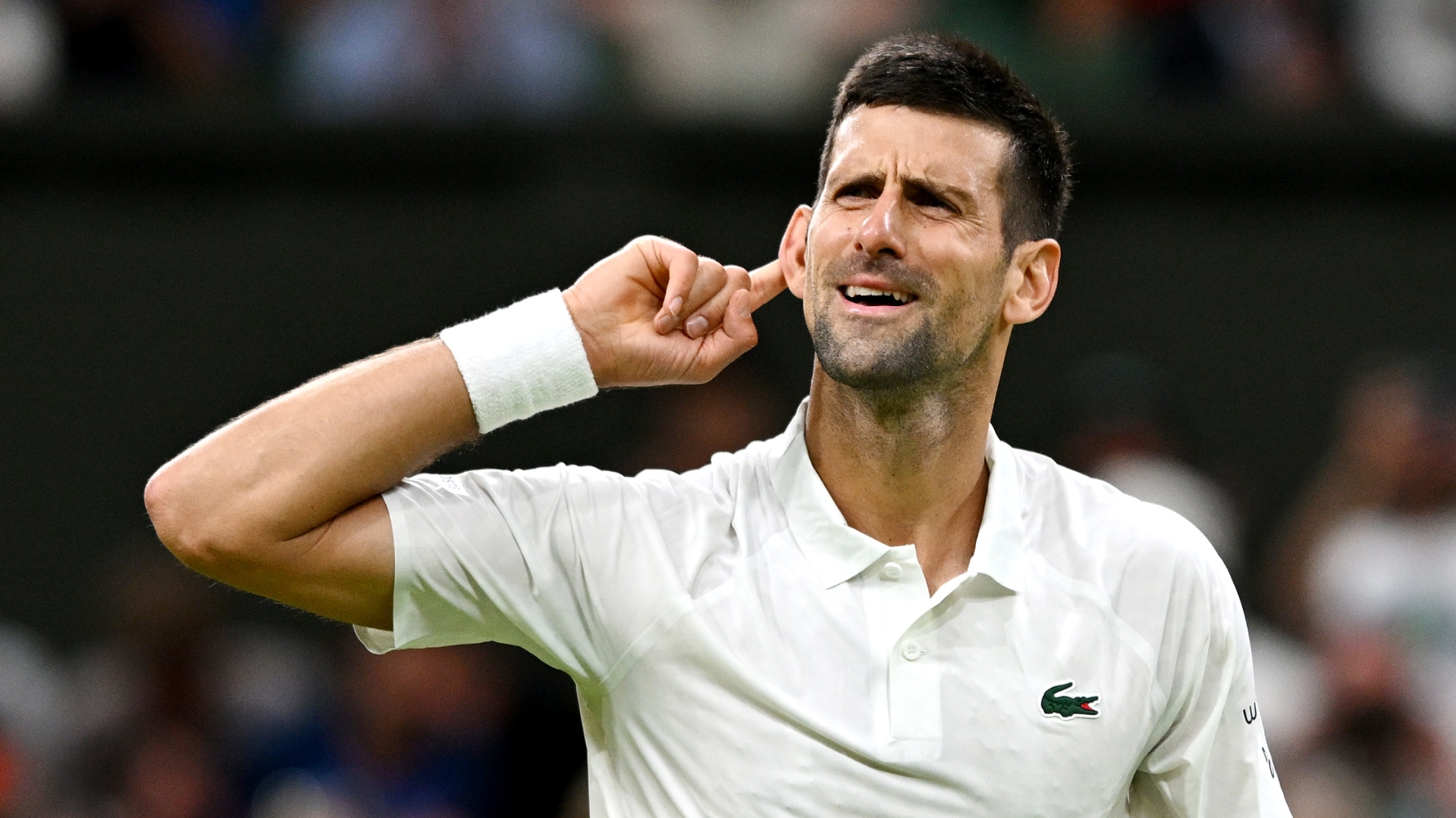 Novak Djokovic celebrates after defeating Stan Wawrinka in straight ...
