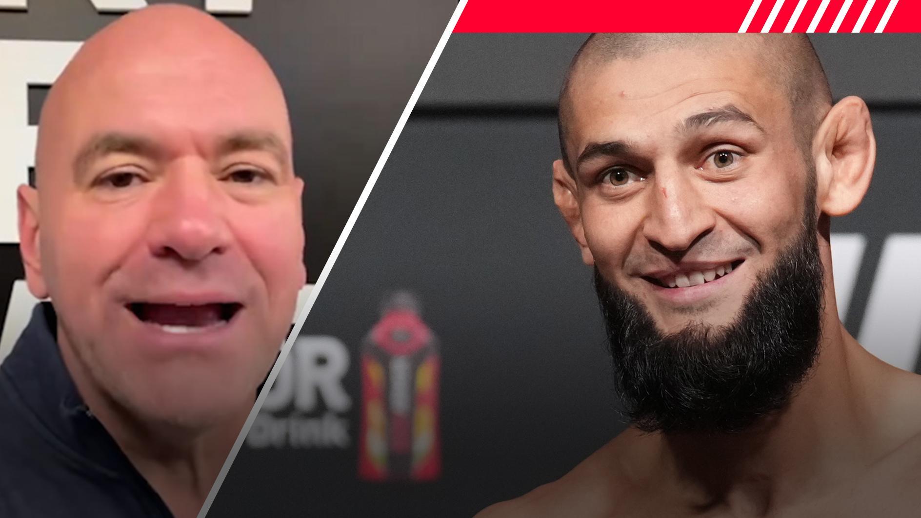 robert whittaker stats