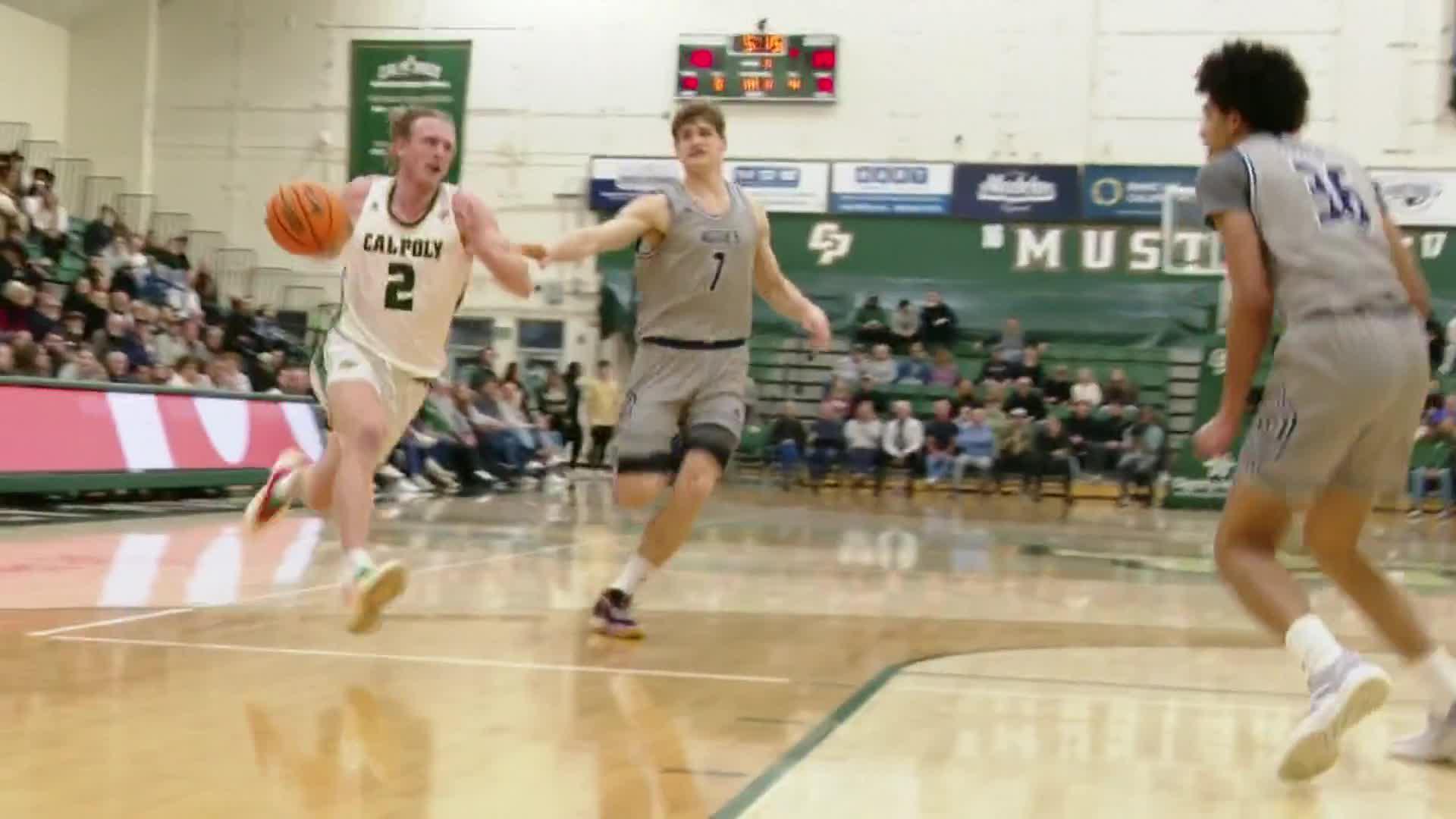 Cal poly basketball store